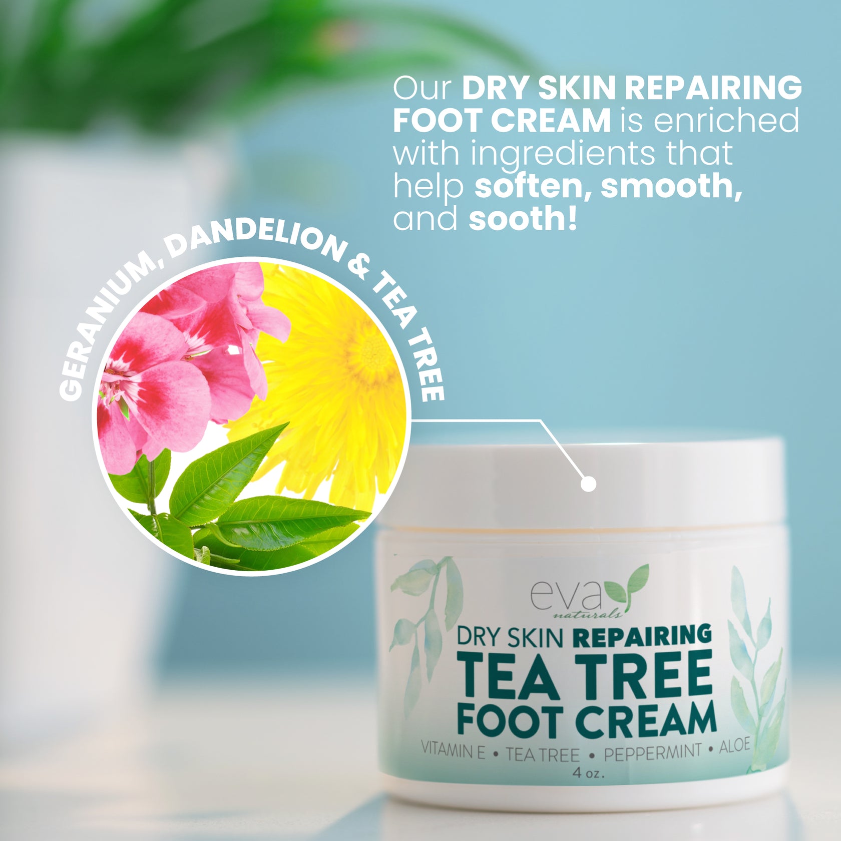 Tea Tree Foot Cream – Eva Naturals